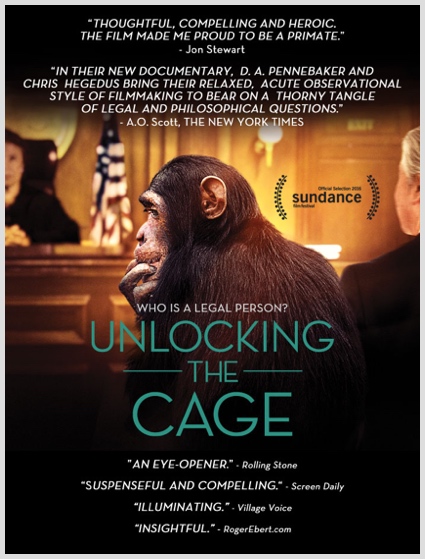Unlocking the Cage | Pennebaker Hegedus Films